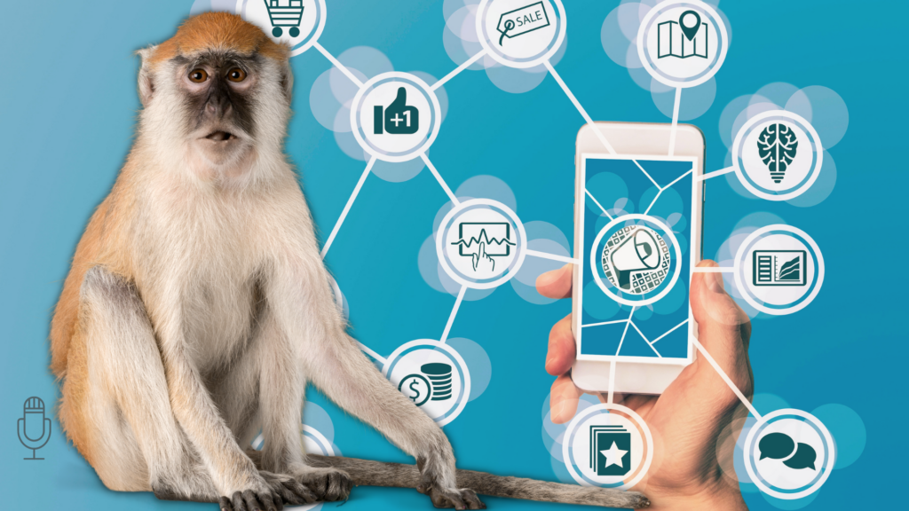 Affiliate Marketing is a Butt Sniffing Monkey - The Affiliate Guy Matt ...