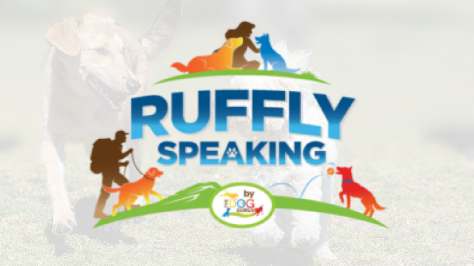 Recommended Affiliate Programs and Upcoming Product Launches - Matt ...